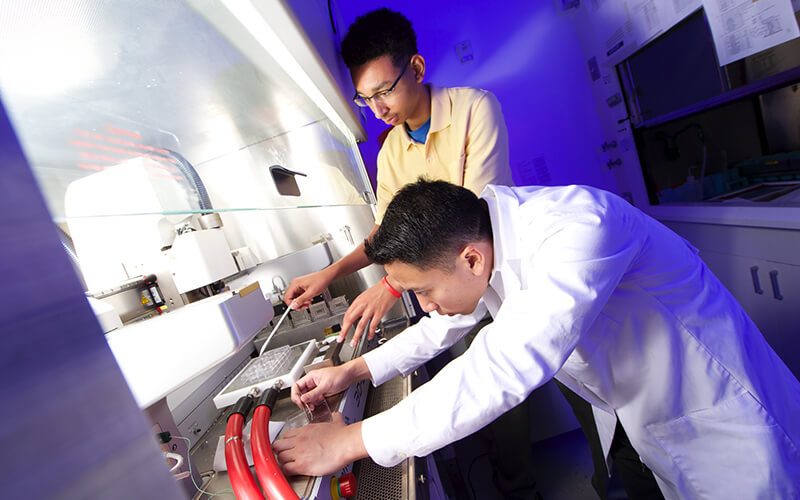 Research Support Initiatives | Fischell Department of Bioengineering